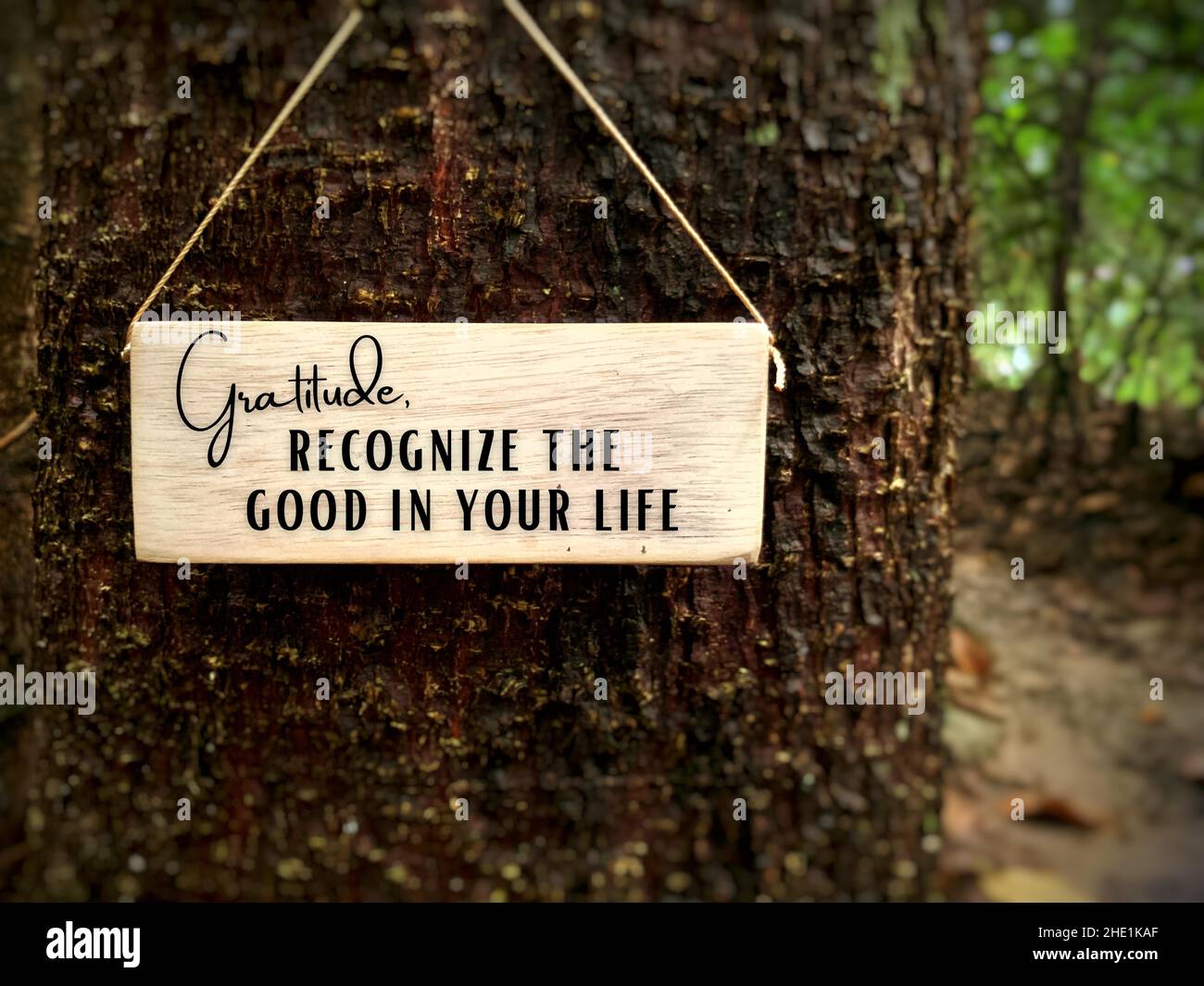 Motivational and inspirational quotes on wooden block - Gratitude ...