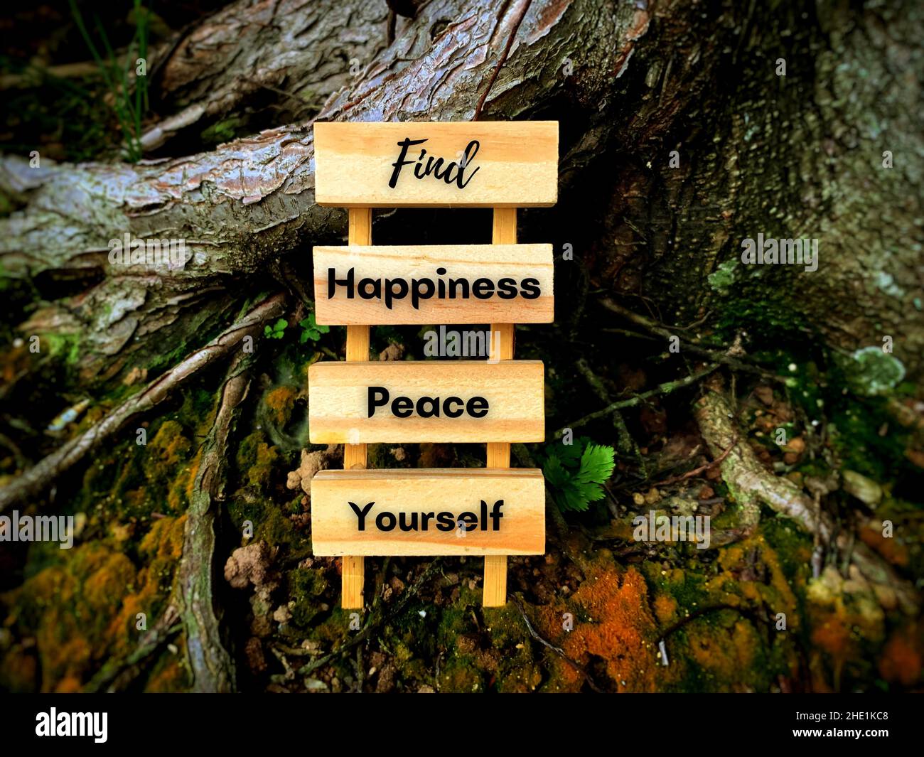 Motivational and inspirational quotes on wooden blocks - Find happiness ...