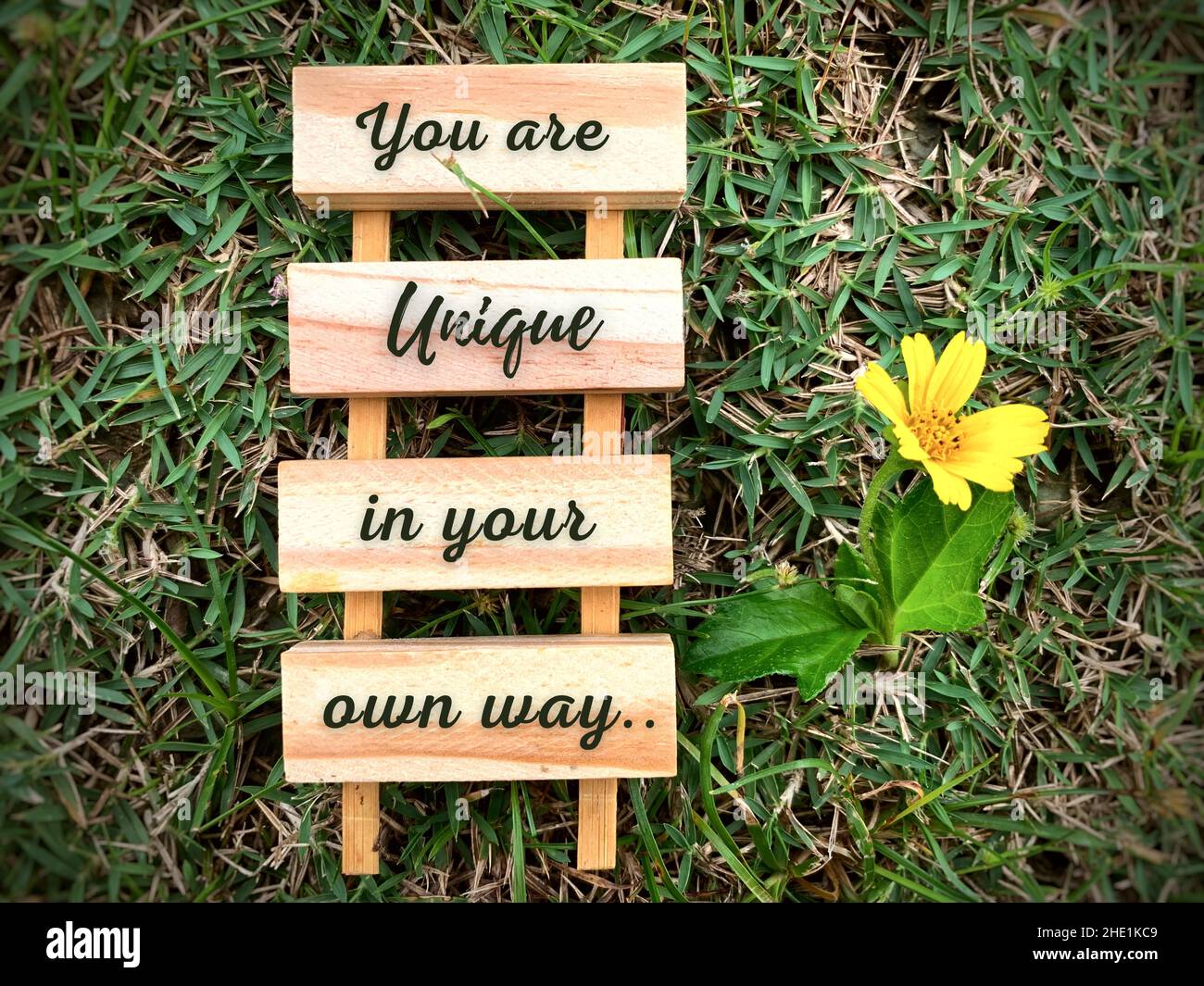 Motivational and inspirational quotes on wooden blocks - You are unique ...