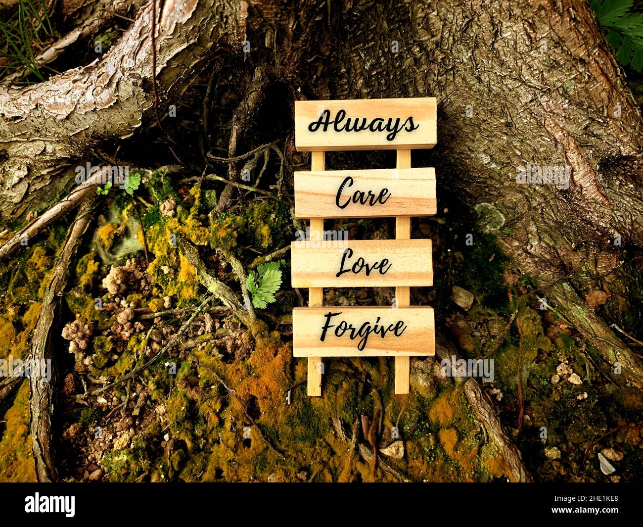 Motivational and inspirational quotes on wooden blocks - Always care ...
