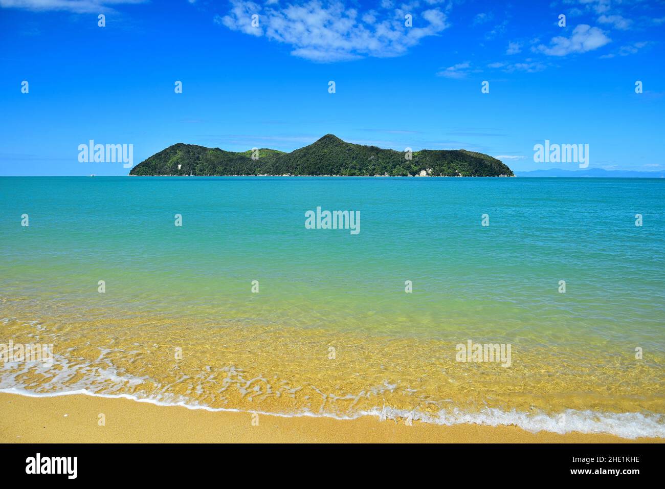 The beautiful Adele Island. View from a sandy beach. New Zealand, South ...