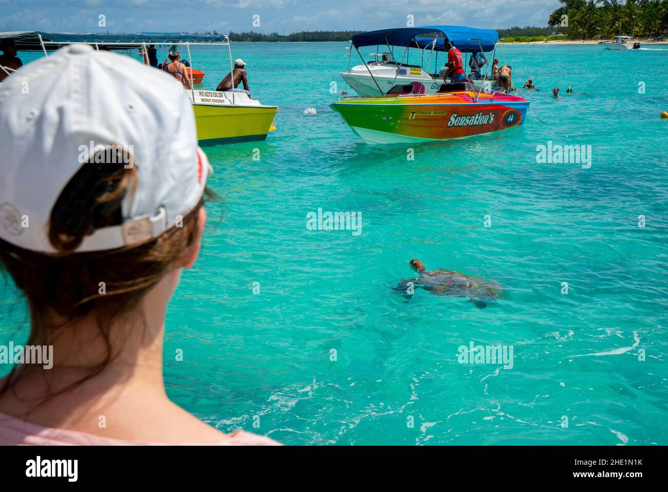 Tourists spotting turtles in the lagoon surrounding Mauritius Stock ...