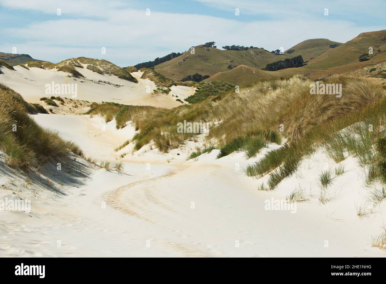 Sand dunes at Sandfly Bay near Dunedin, Otago on South Island of New ...