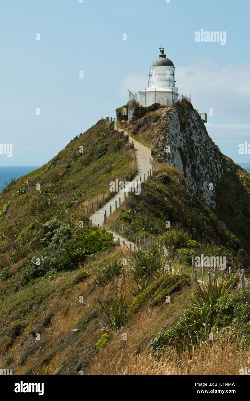 Nugget Point Lighthouse in Otago on South Island of New Zealand Stock ...