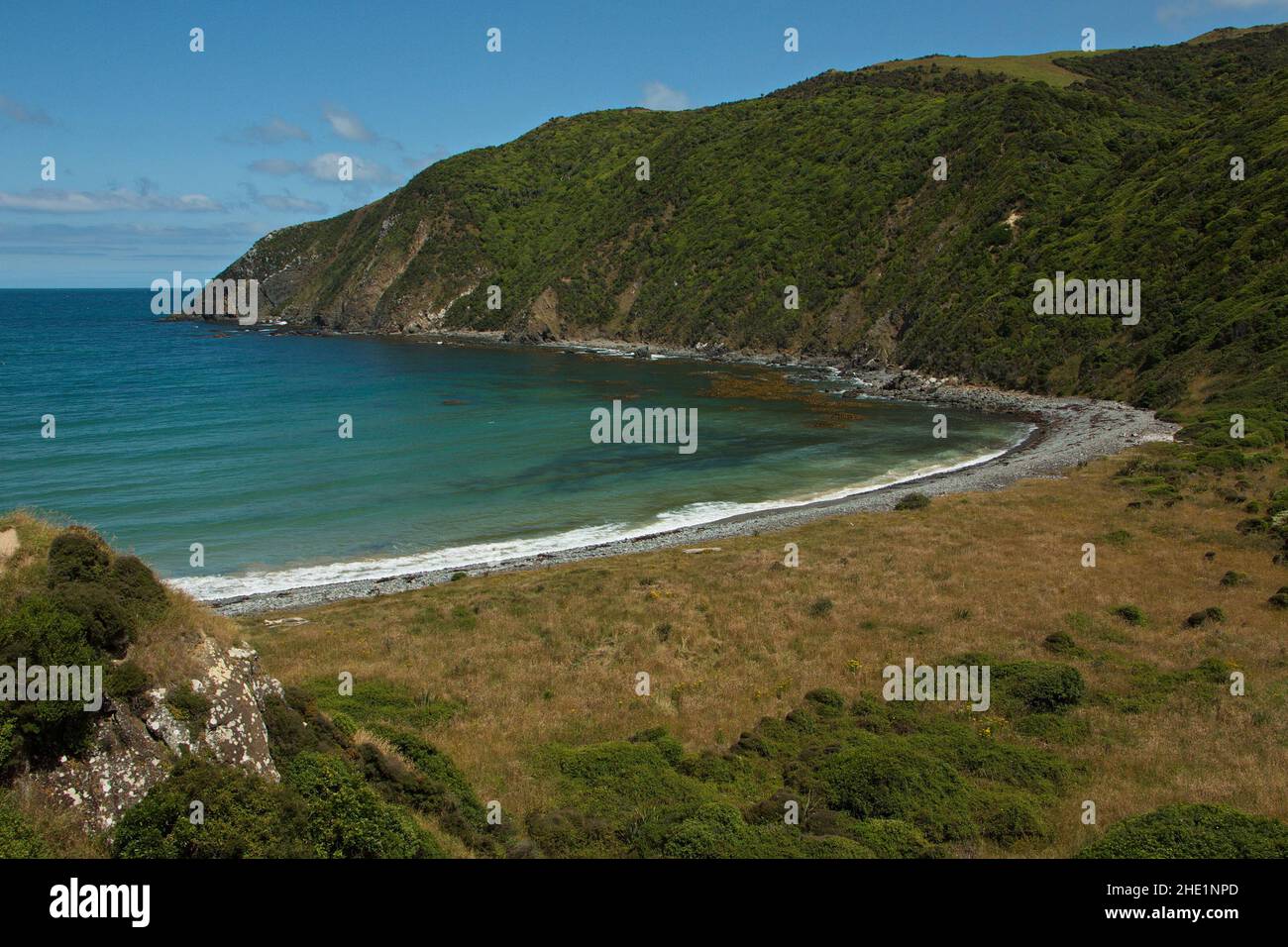 Coast in Roaring Bay near Nugget Point in Otago on South Island of New ...