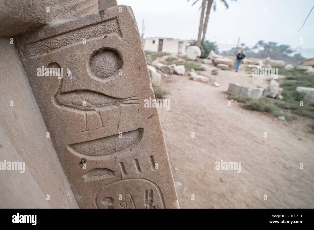 An ancient egyptian hieroglyph depicting a duck on a stone slab in ...