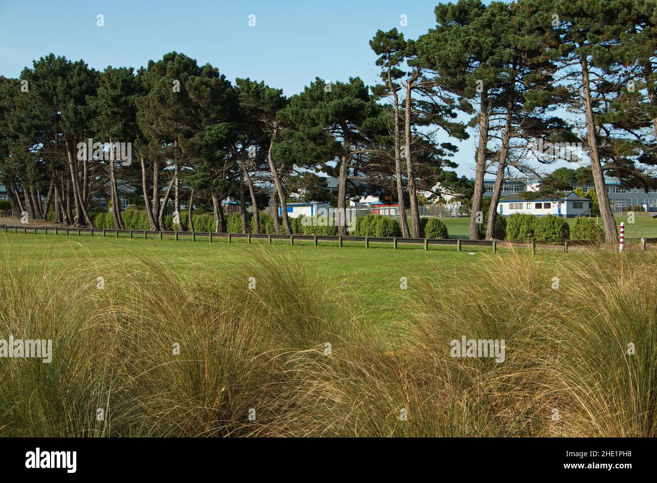 Invercargill southland new zealand hi-res stock photography and images ...