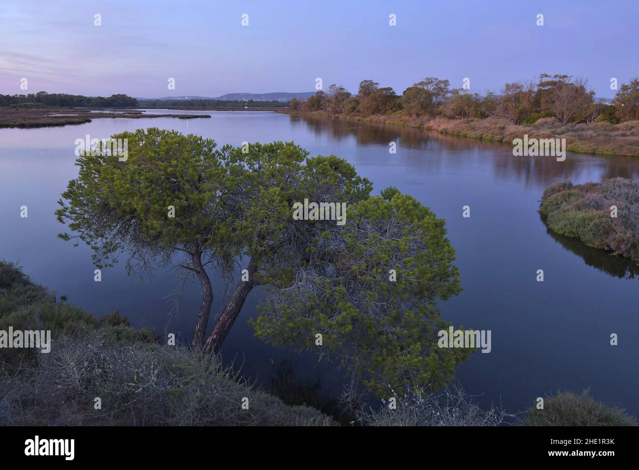 Ludo trail hi-res stock photography and images - Alamy