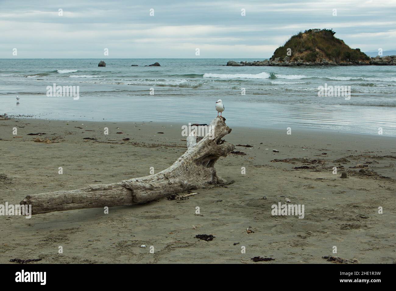 Monkey island beach new zealand hi-res stock photography and images - Alamy