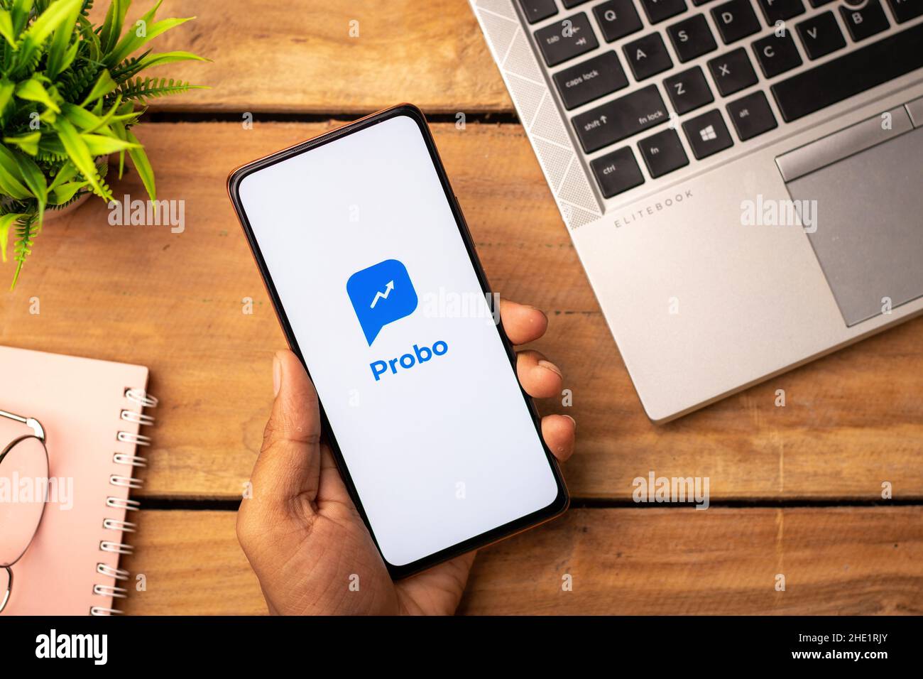 Probo logo hi-res stock photography and images - Alamy
