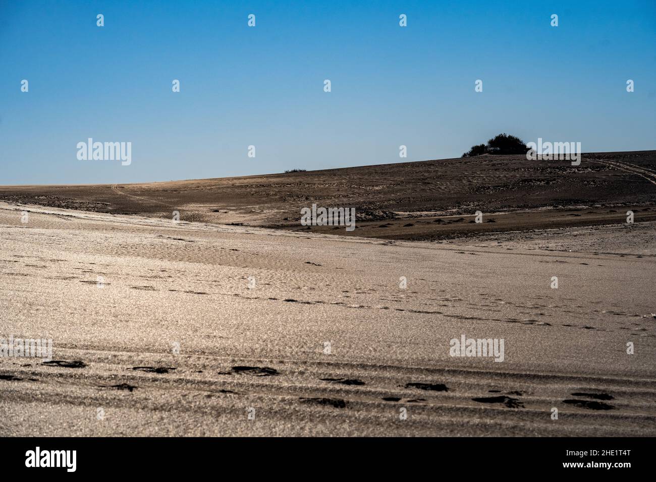 Landscape view of a beautiful dusty desert with footsteps under the ...