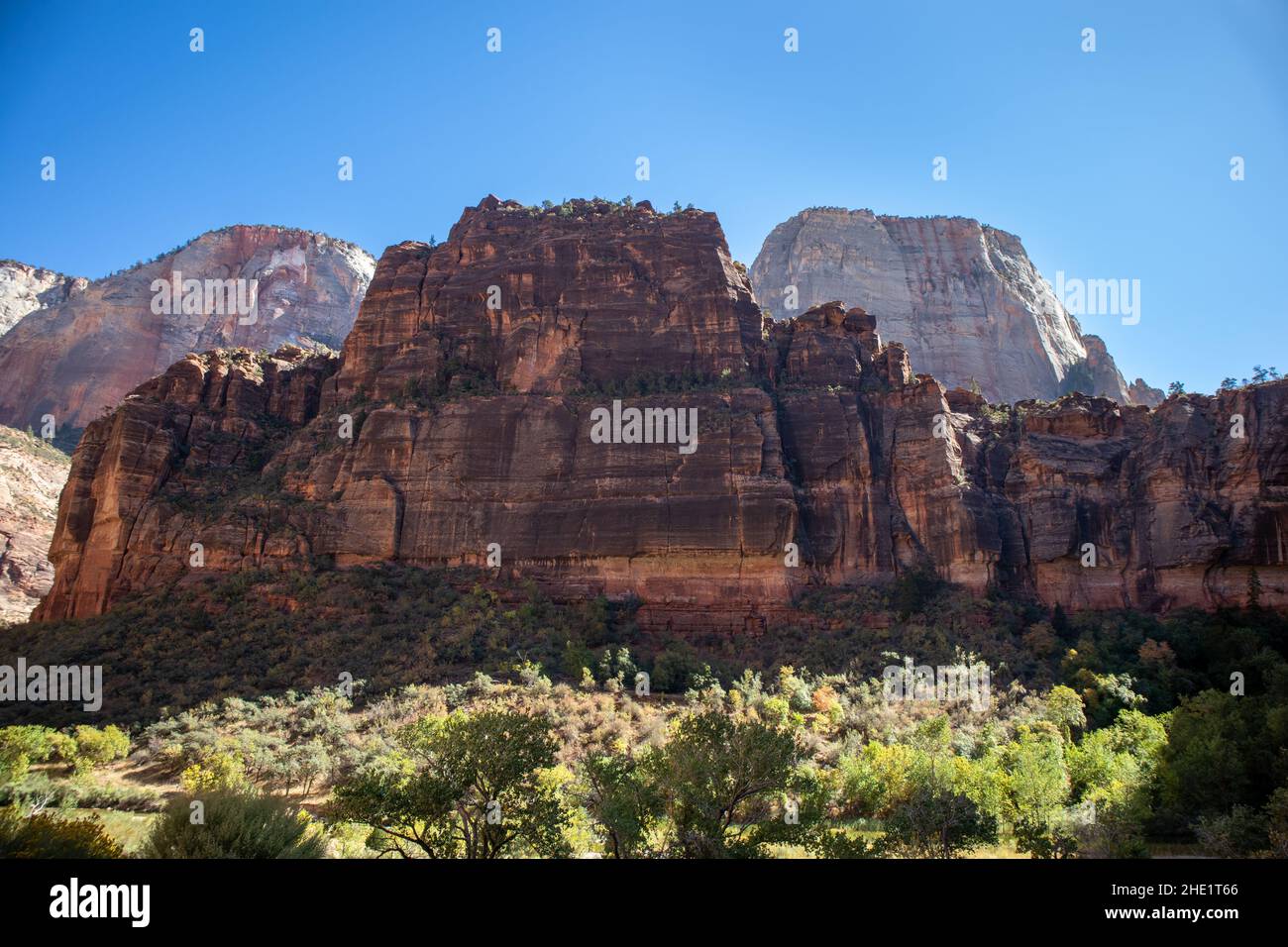 Mountain Zion Nationalpark, Utah USA Stock Photo - Alamy