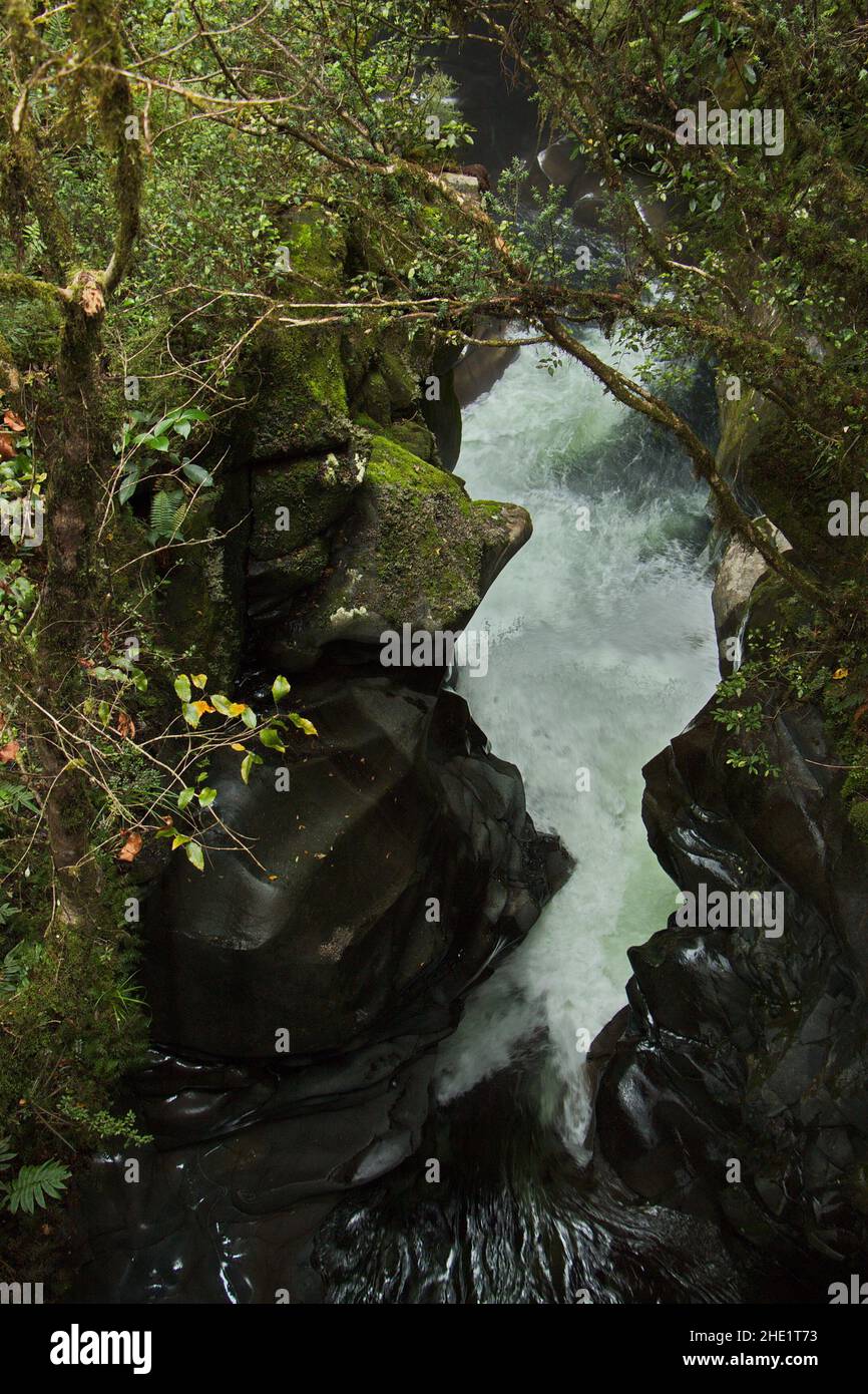 The chasm fiordland hi-res stock photography and images - Alamy