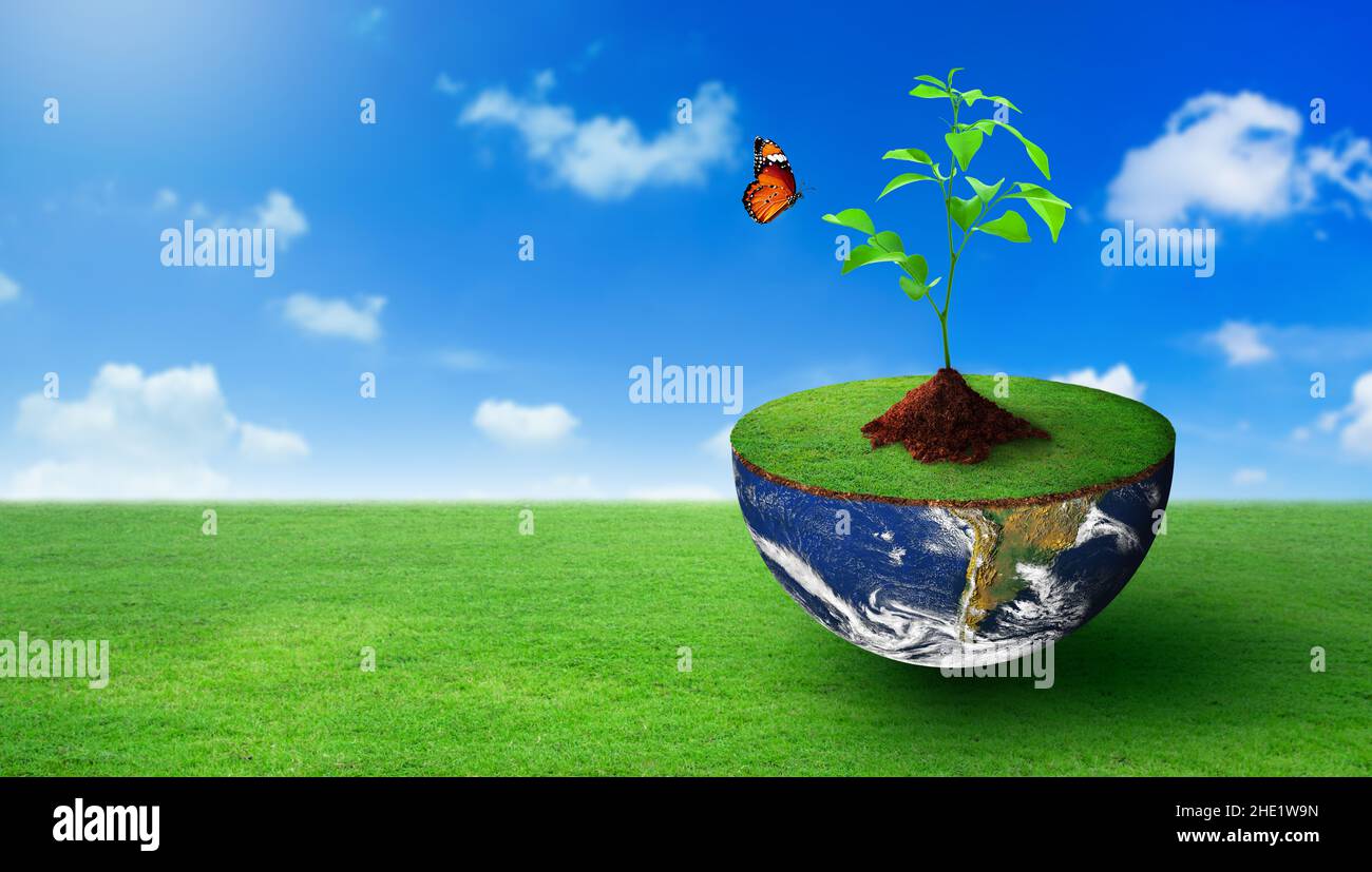 Plant growing on the half sphere with green grass on. Nature and Blue ...