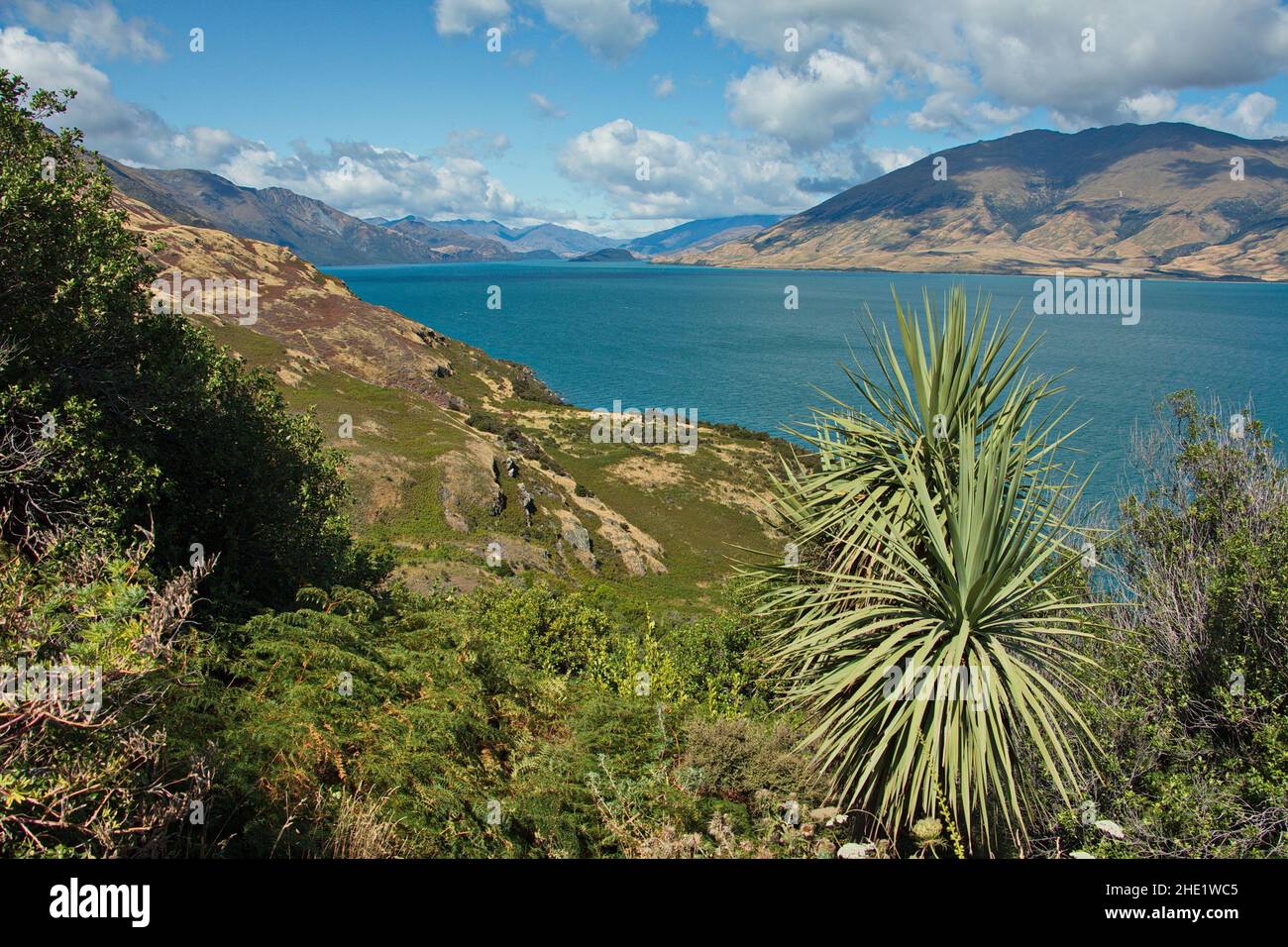 View of Lake Hawea from Lake Hawea Lookout in Otago on South Island of ...