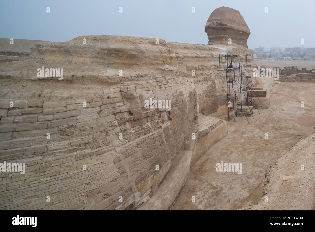The backside of the Great Sphinx of Giza with scaffolding up against ...
