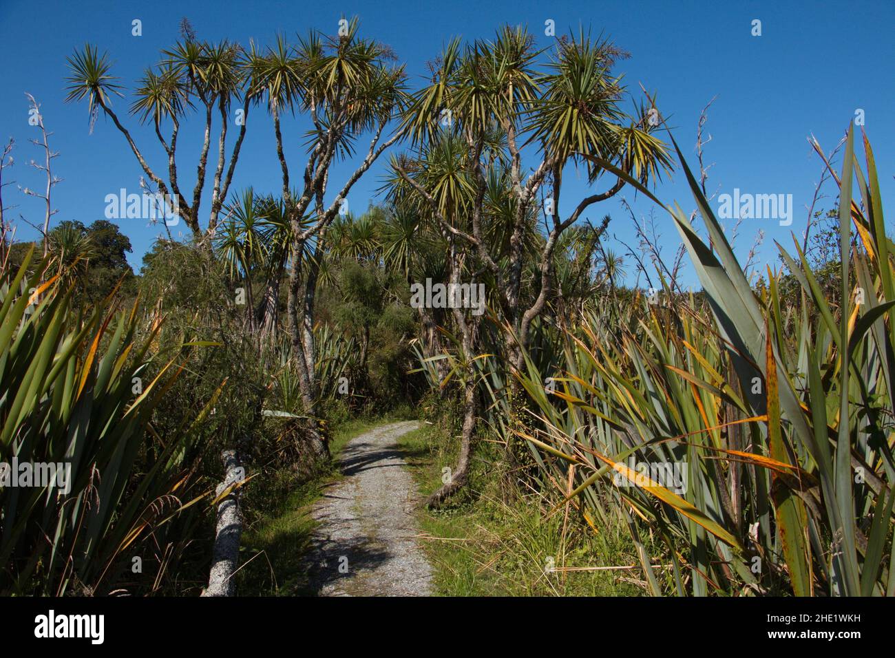 Hapuka island hi-res stock photography and images - Alamy