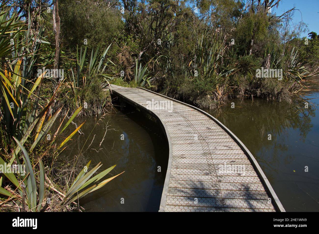 Hapuka Estuary Walk in Mount Aspiring National Park,West Coast on South ...