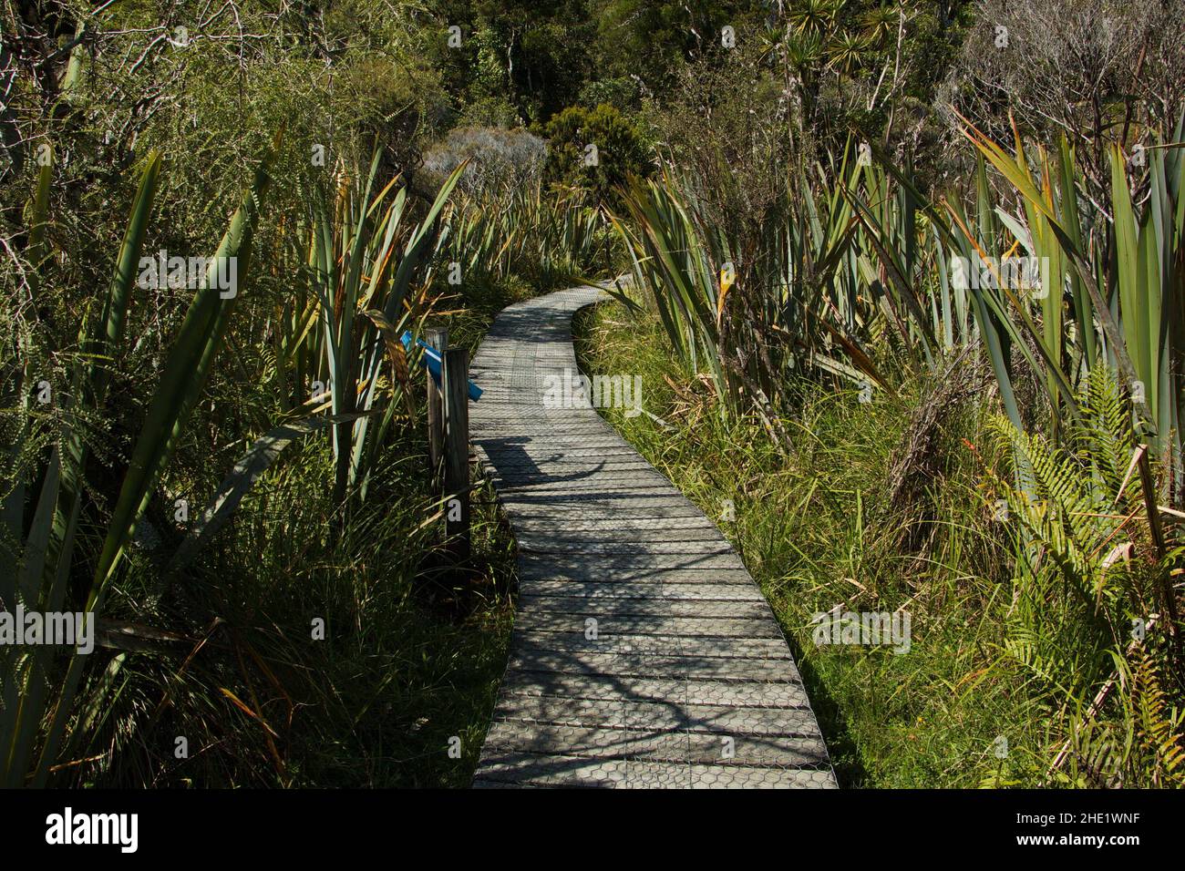 Hapuka Estuary Walk in Mount Aspiring National Park,West Coast on South ...