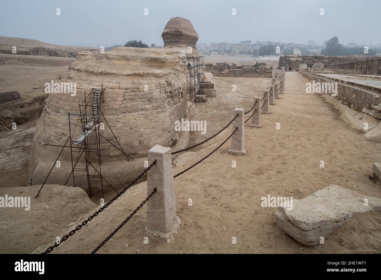 The backside of the Great Sphinx of Giza with scaffolding up against ...