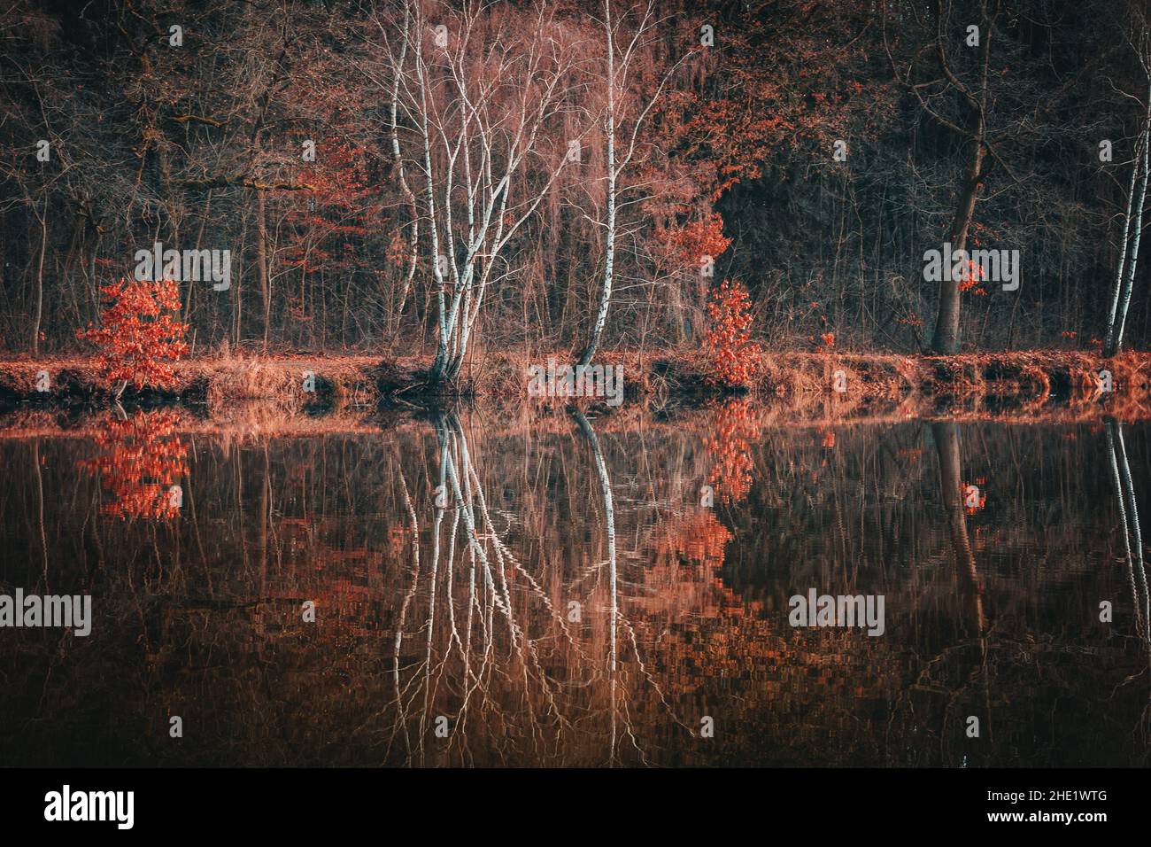 Water mirroring hi-res stock photography and images - Alamy