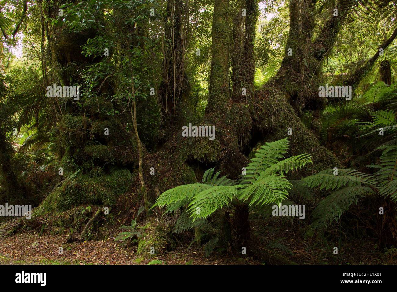 Monro beach walk hi-res stock photography and images - Alamy