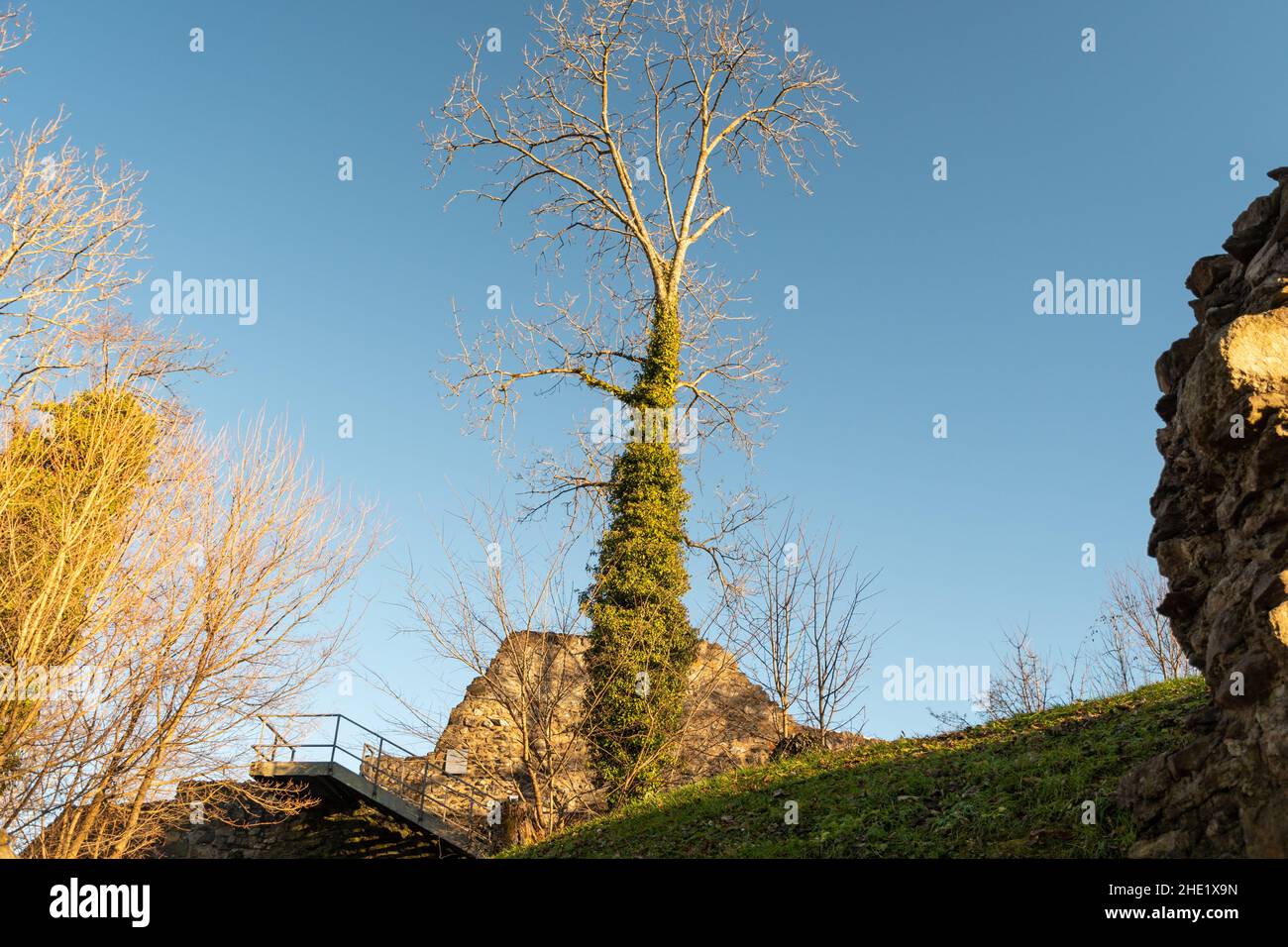Schellenberg, Liechtenstein, December 31, 2021 Historic old castle ruin ...
