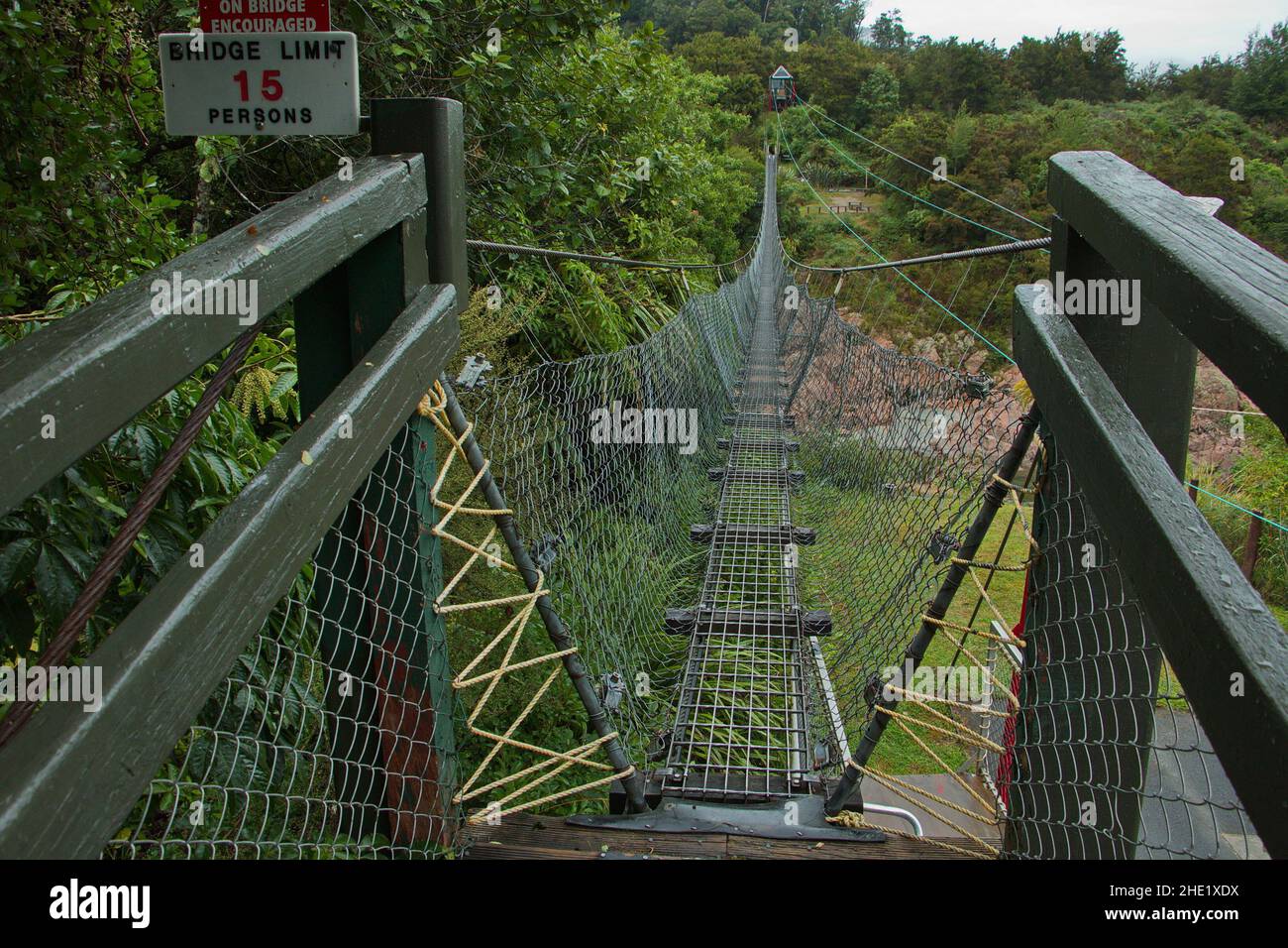 Buller Gorge Swing Bridge in Tasman Region on South Island of New ...