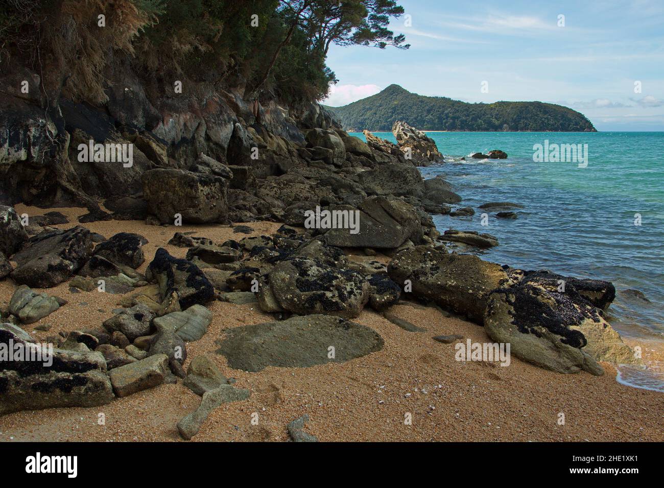 Coast in Apple Tree Bay at Coastal track near Marahau,Tasman Bay in ...