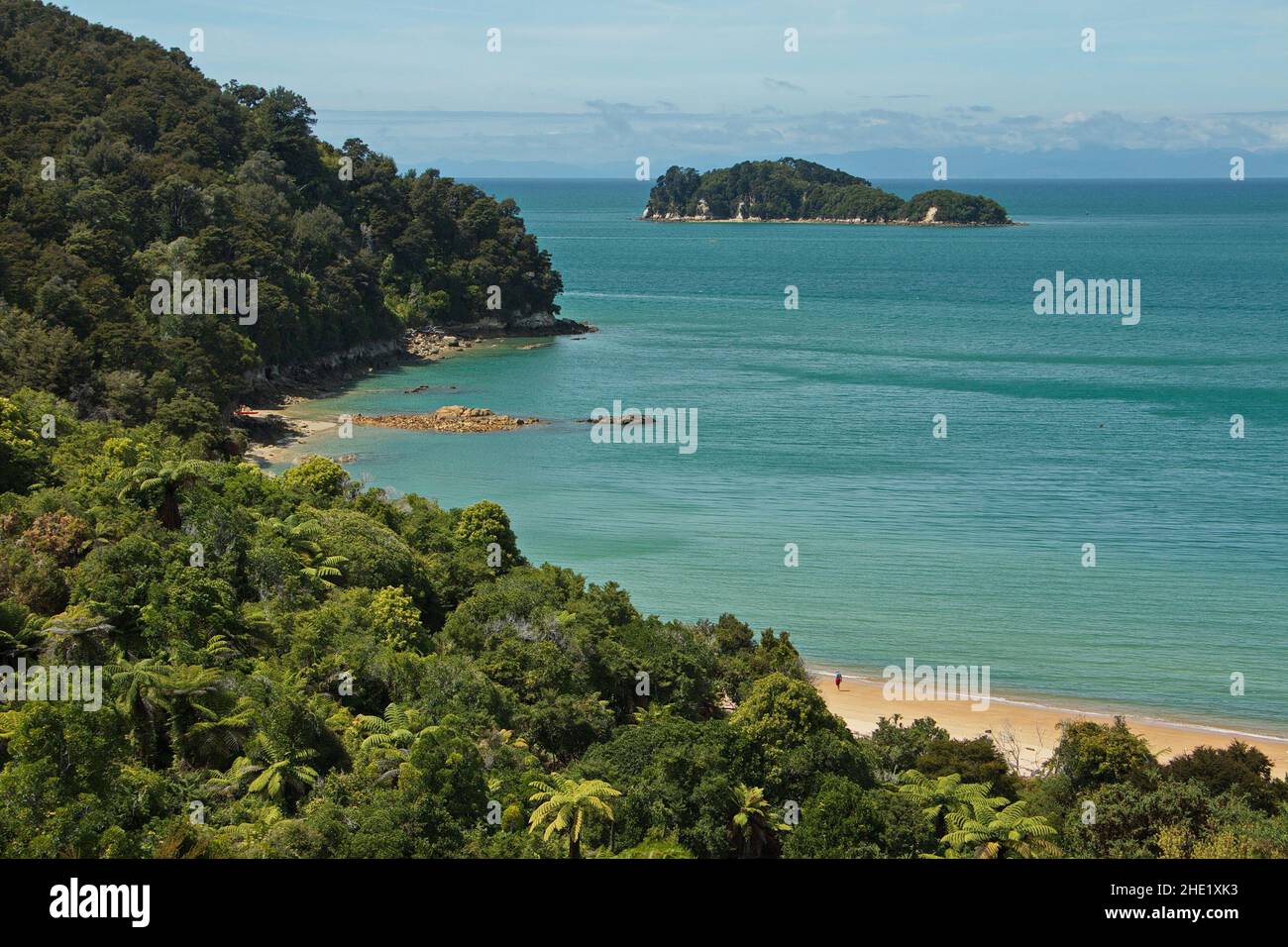 Coast in Apple Tree Bay at Coastal track near Marahau,Tasman Bay in ...
