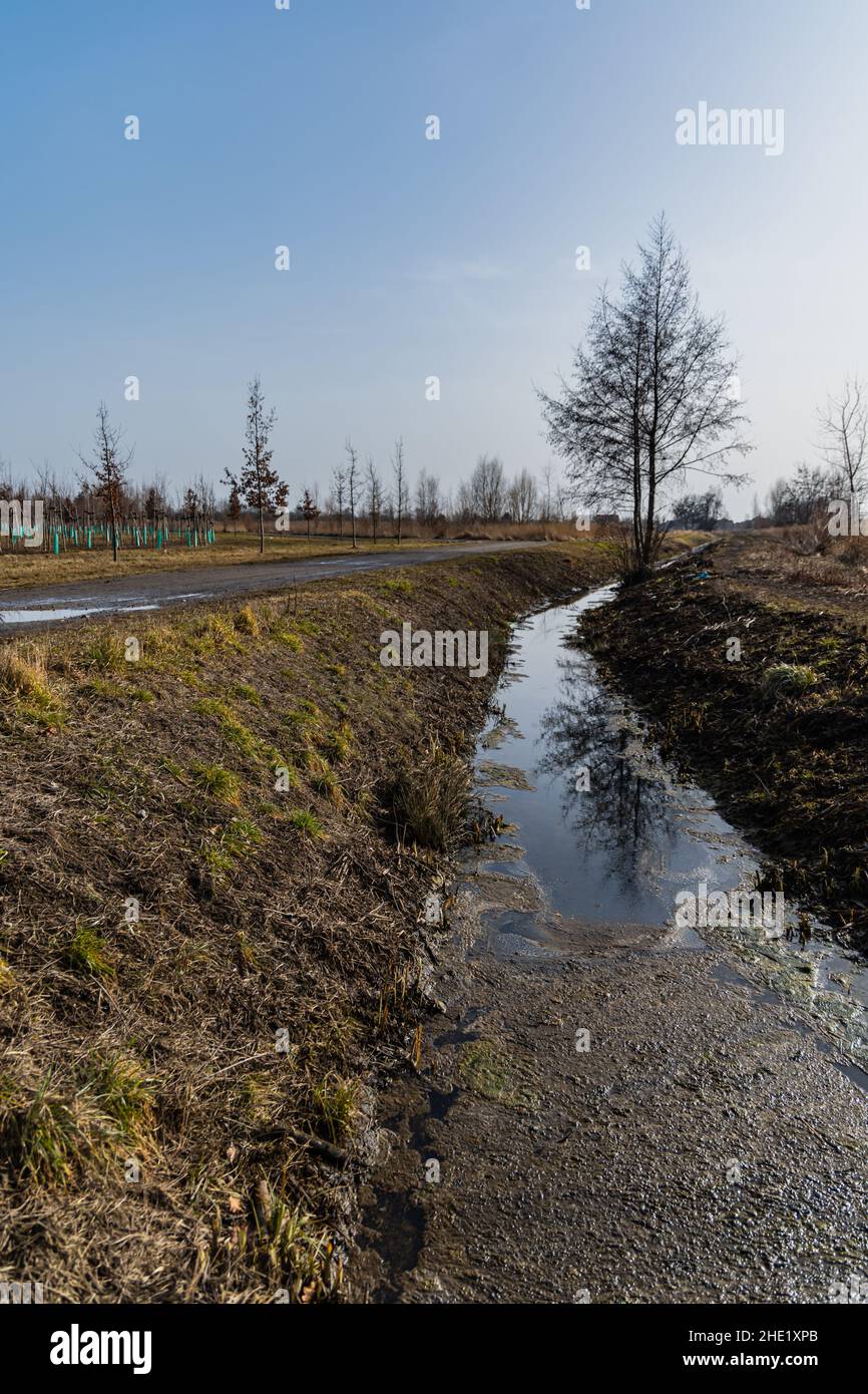 Long small stream next to path and big tree plantation Stock Photo - Alamy