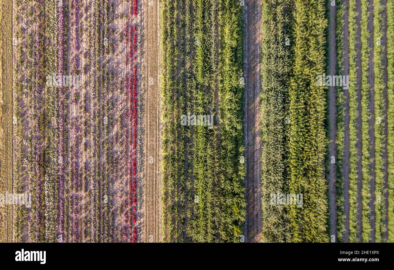 Strip cropping hi-res stock photography and images - Alamy