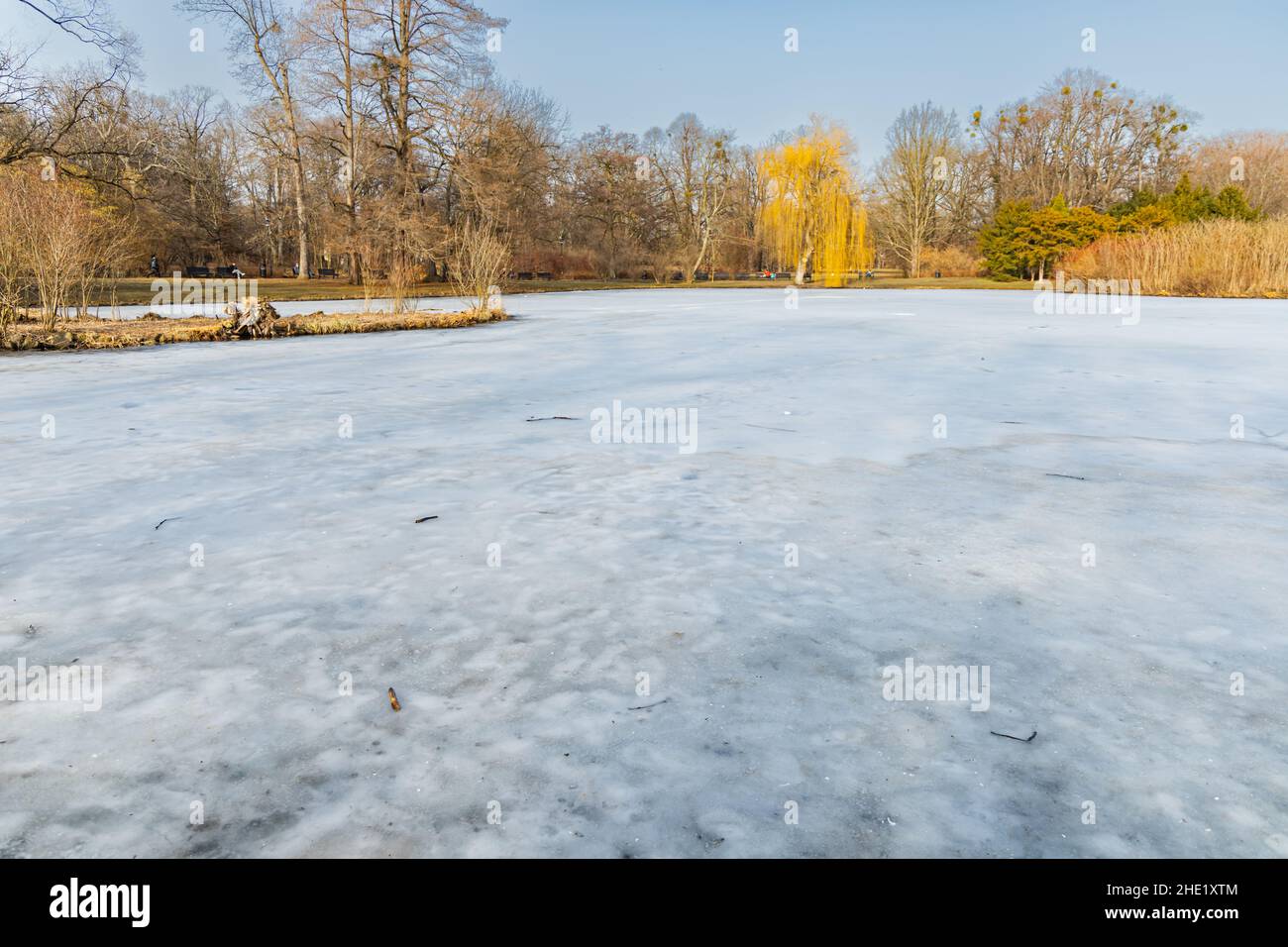 Big frozen lake full of autumn trees and bushes around at winter Stock ...