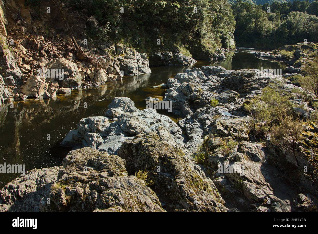 Pelorus River in Pelorus Bridge Scenic Reserve,Marlborough Region on ...