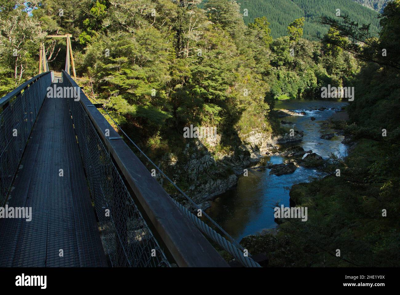 Suspension Bridge in Pelorus Bridge Scenic Reserve,Marlborough Region ...