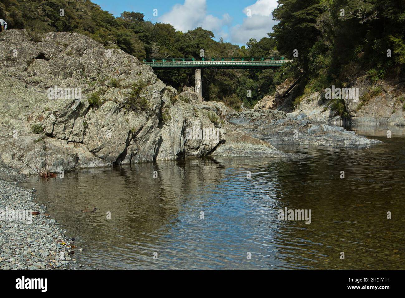 Pelorus Bridge in Pelorus Bridge Scenic Reserve,Marlborough Region on ...