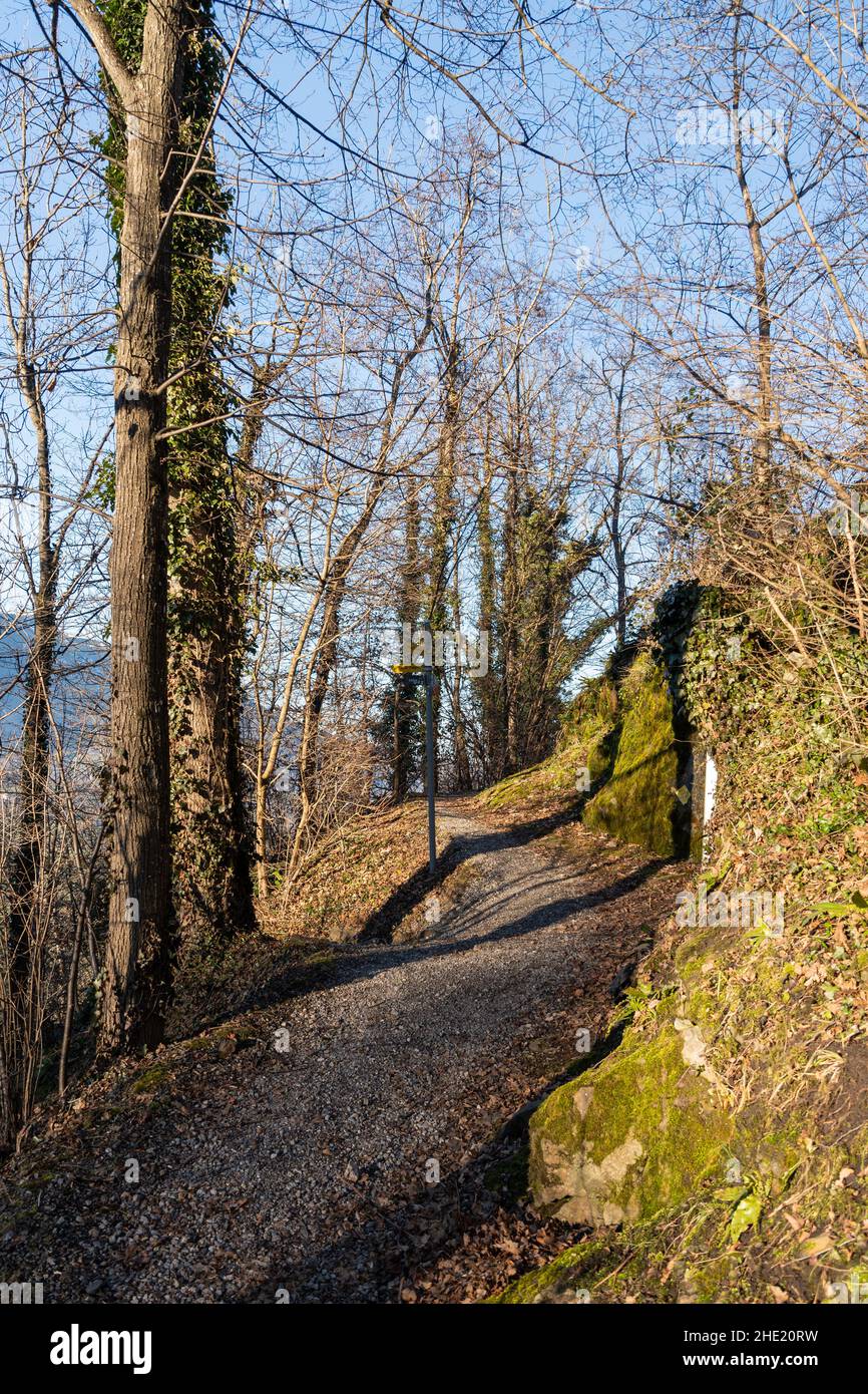 Schellenberg, Liechtenstein, December 31, 2021 Lovely walk into a green ...
