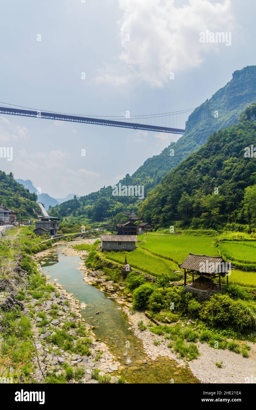 Aizhai suspension bridge and rice fields in Hunan province, China Stock ...