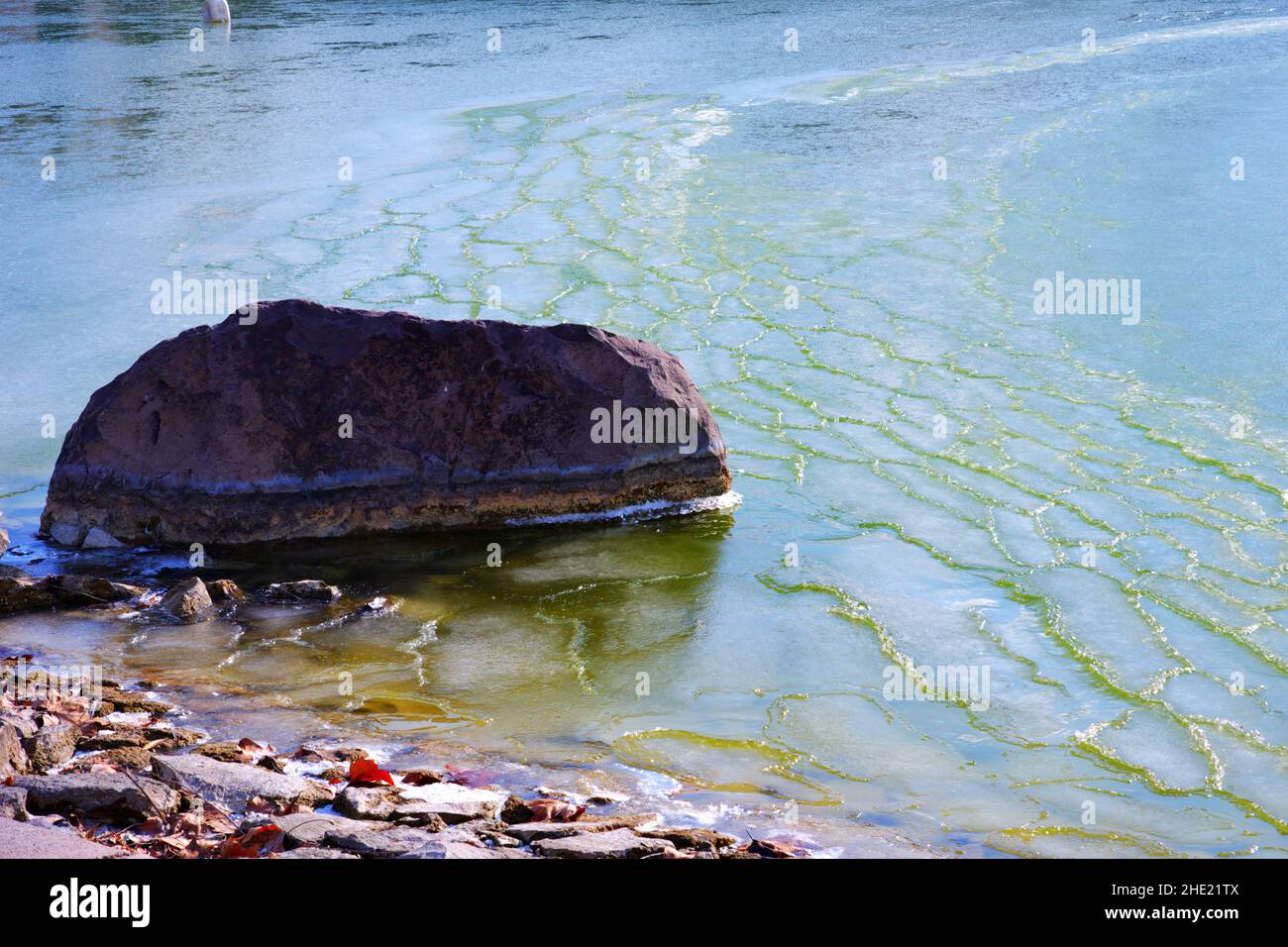 Waterside environment hi-res stock photography and images - Alamy