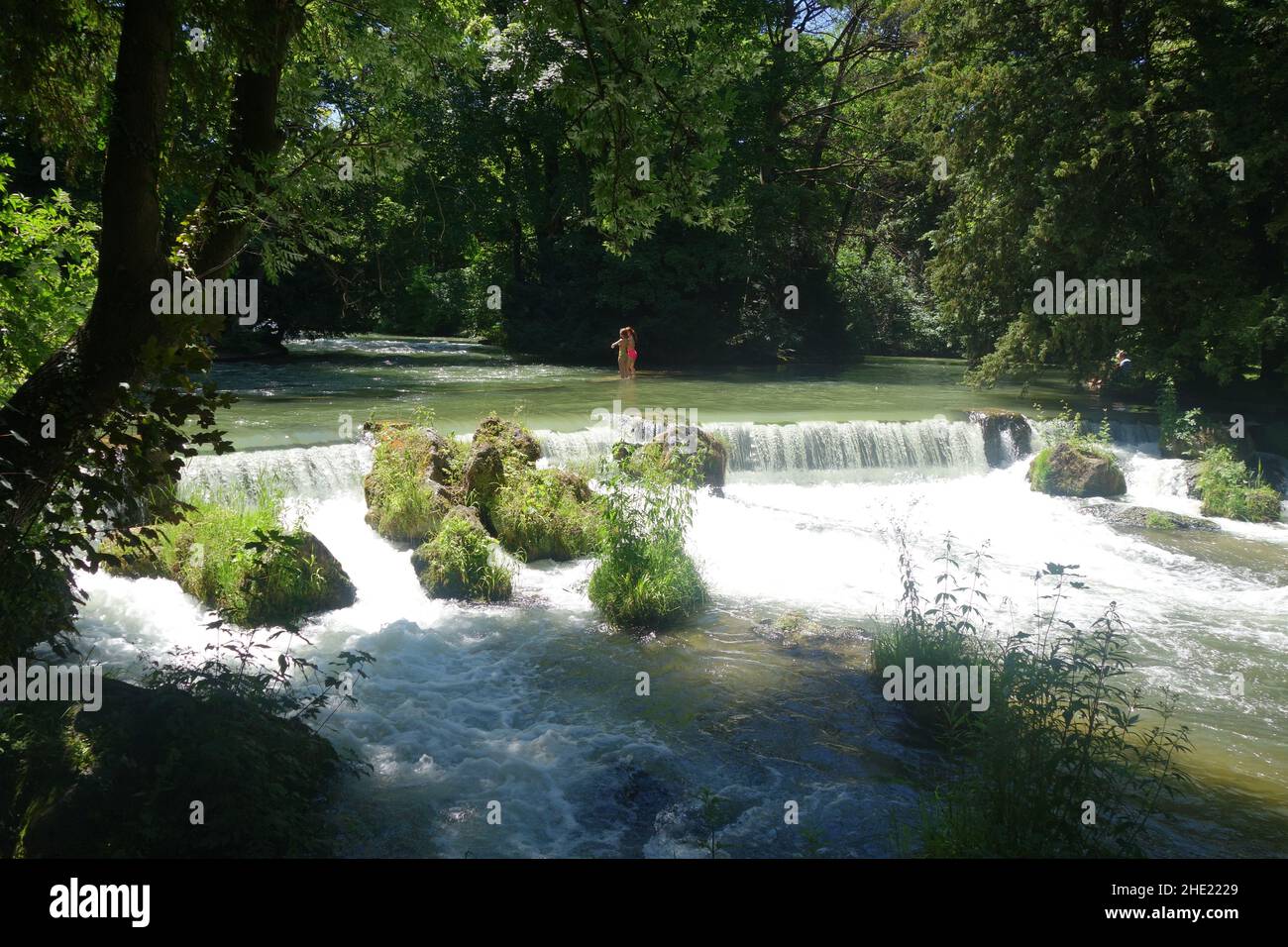 Water plants in river trees hi-res stock photography and images - Alamy