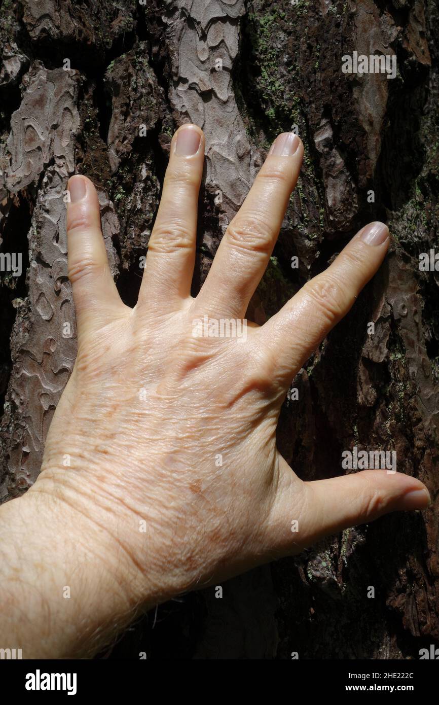 Aged fingers hi-res stock photography and images - Alamy