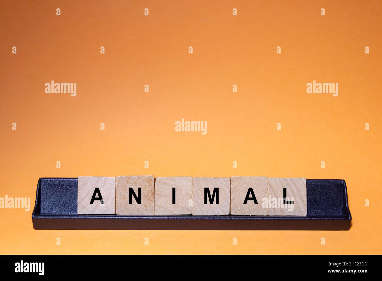 ANIMAL. Word written on square wooden tiles with an orange background ...