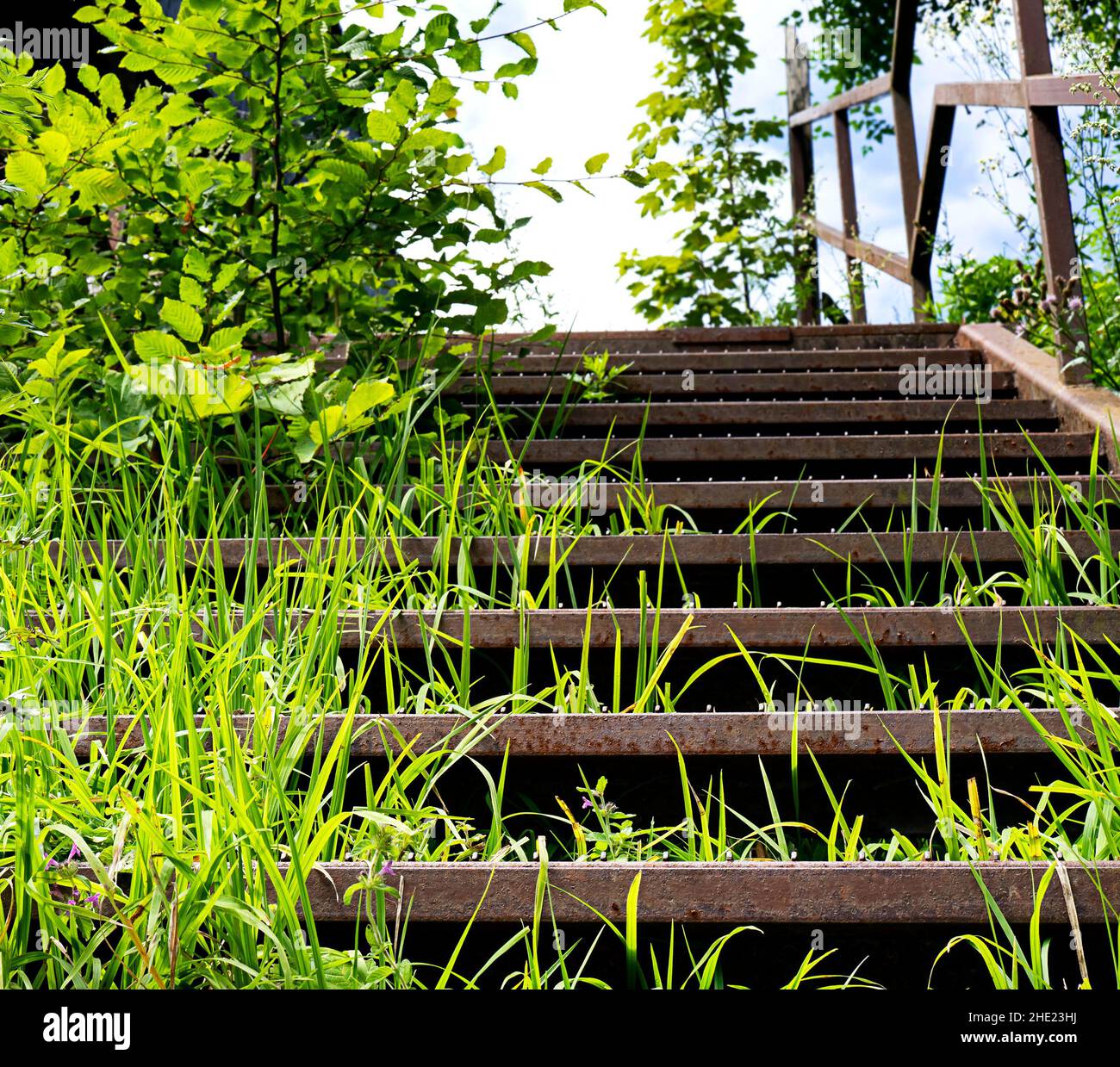 Rusty metal steps covered in vegetation and plants Stock Photo - Alamy