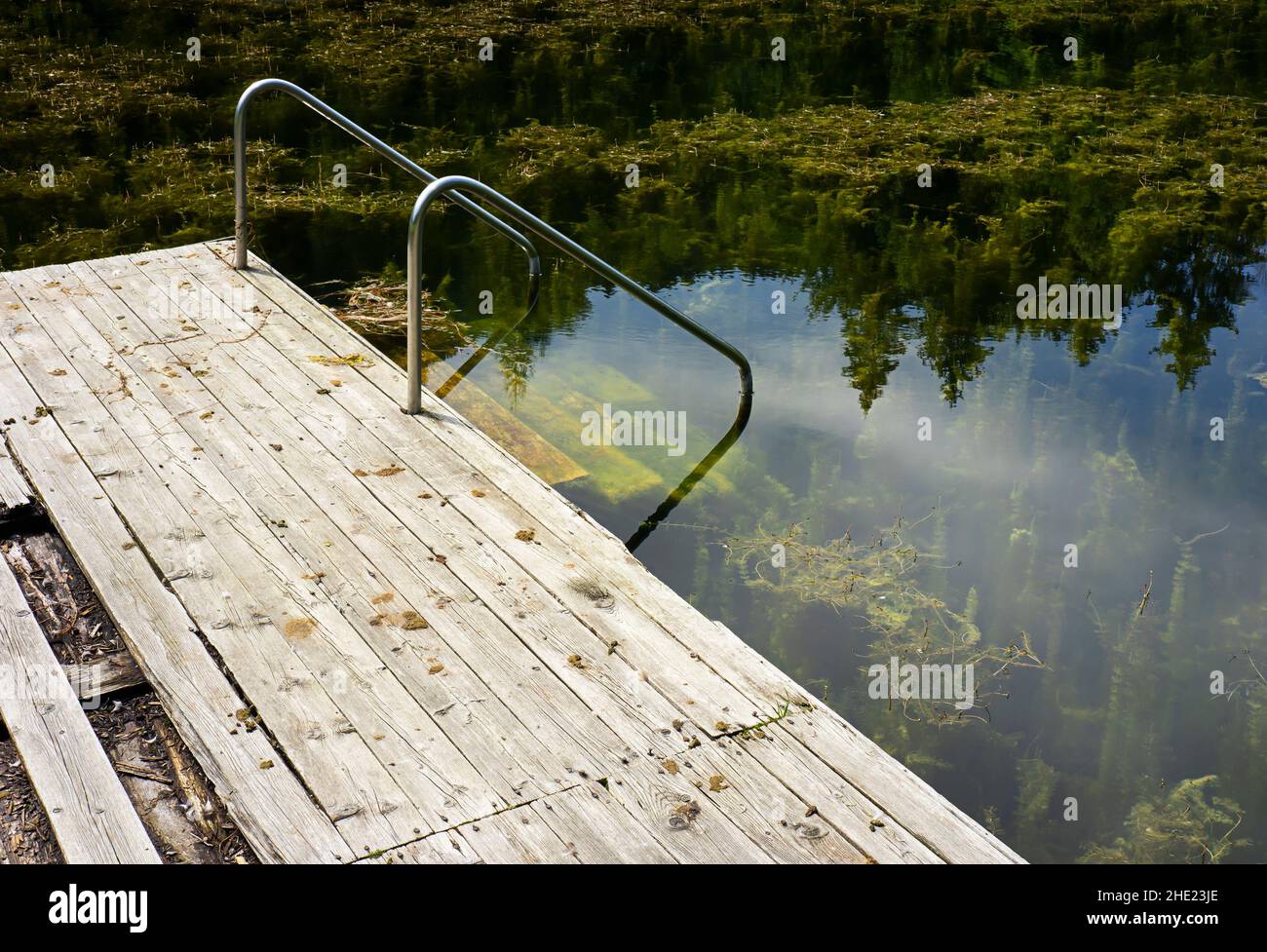 Abandoned dirty pool with algae and wood in it Stock Photo - Alamy