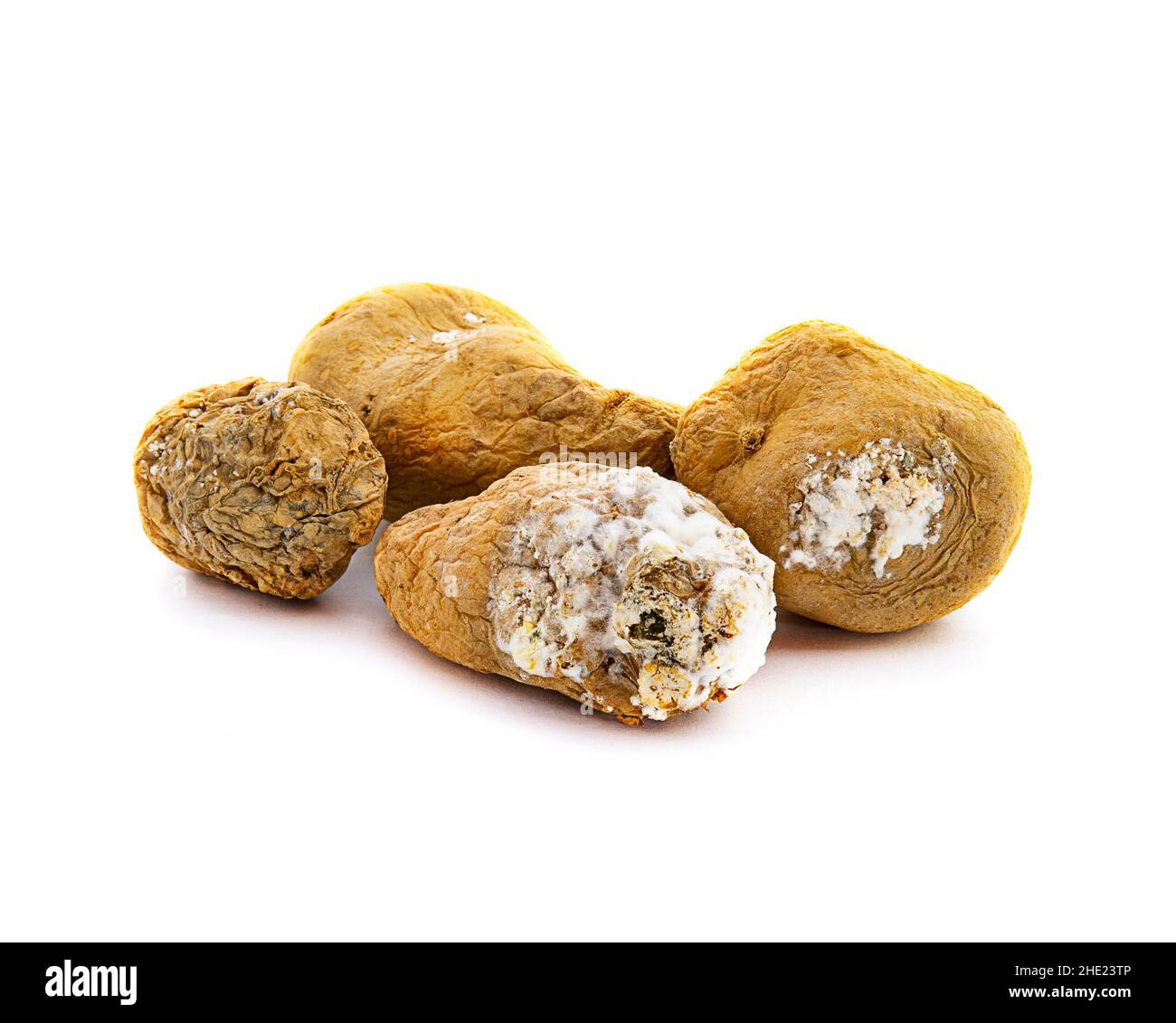 Rotten potatoes are isolated on white background Stock Photo - Alamy