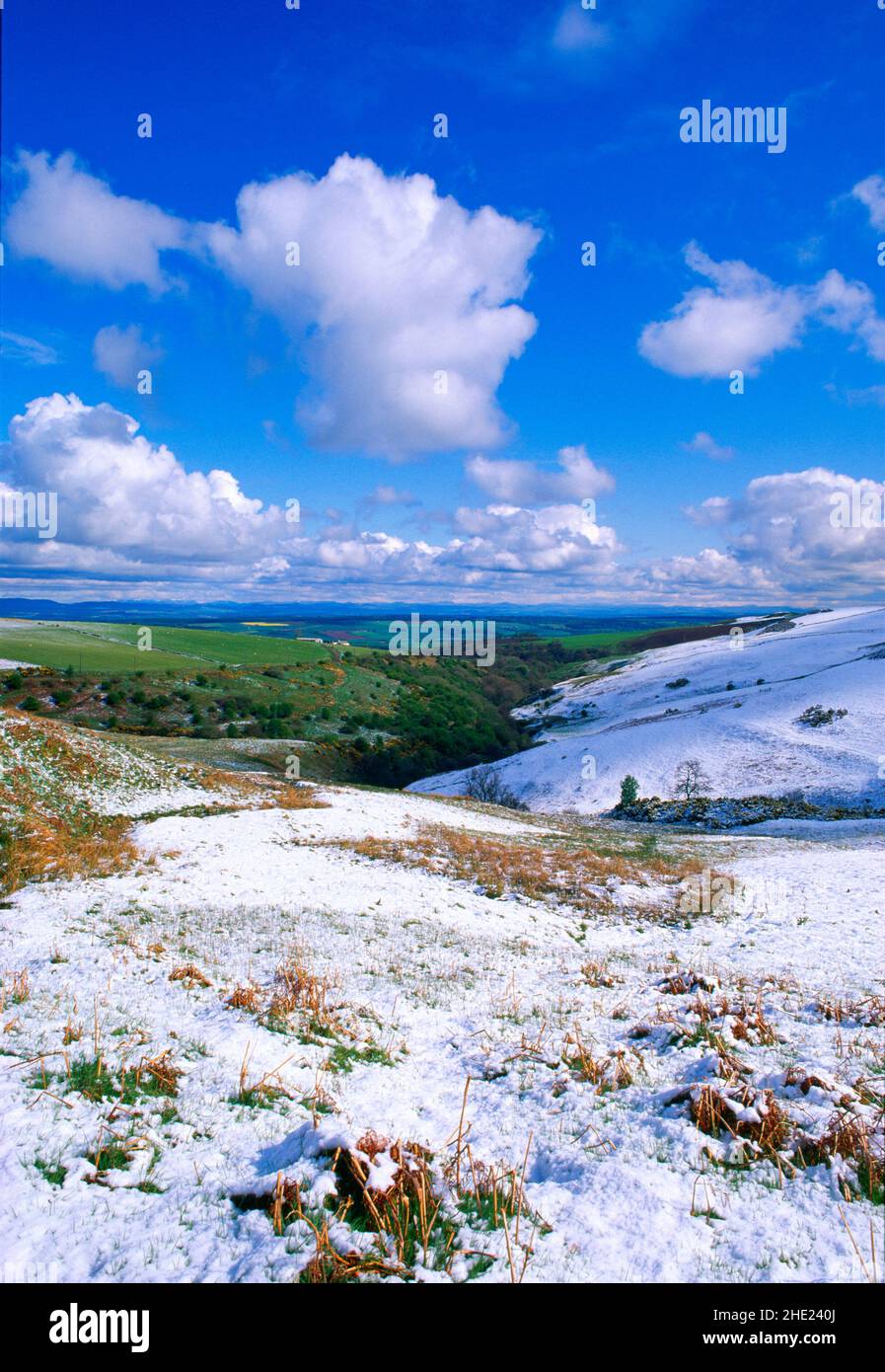 Snow fall exposed hi-res stock photography and images - Alamy