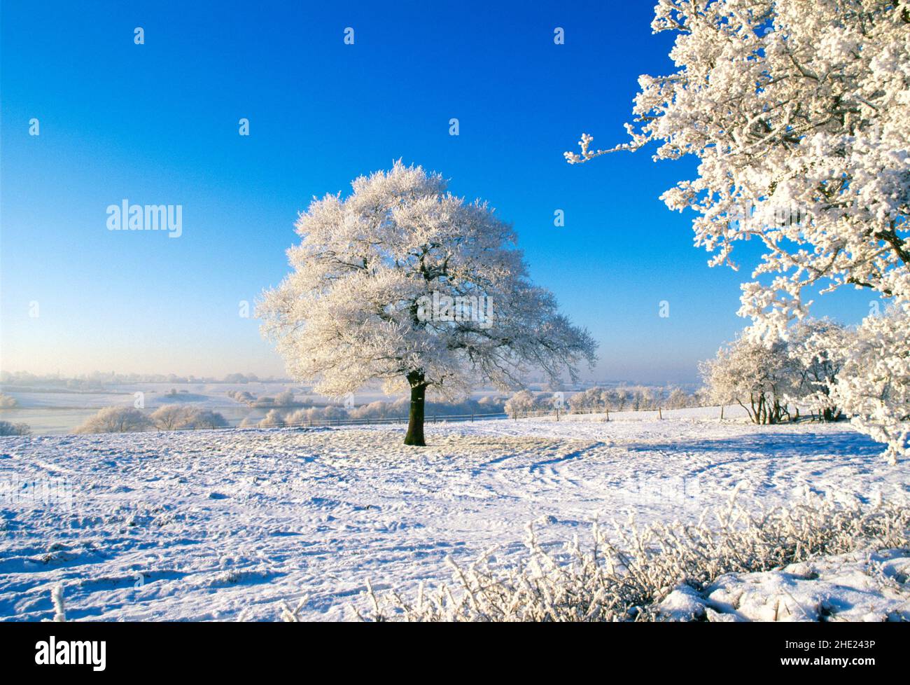 UK, Cheshire, rural landscape, winter Stock Photo - Alamy