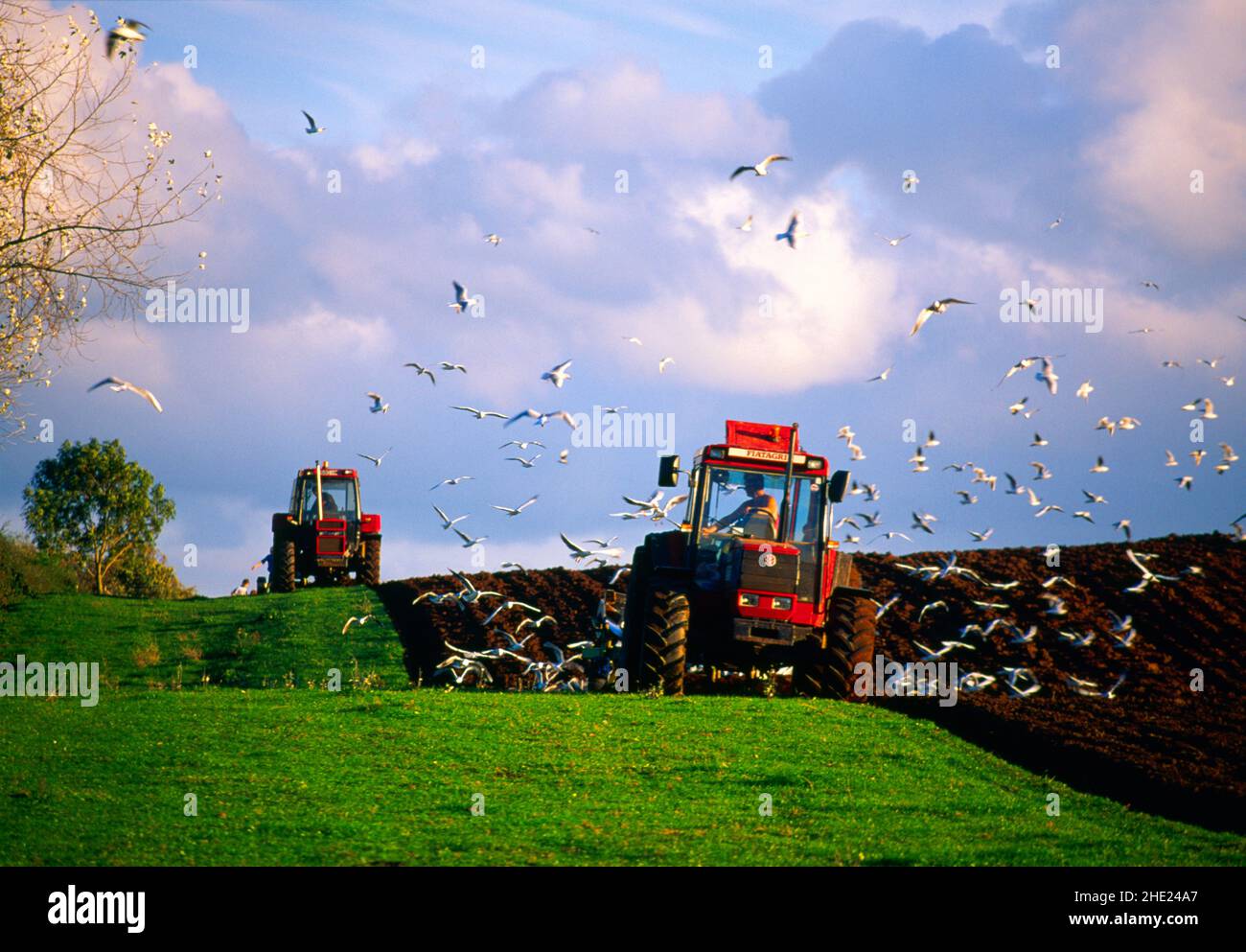spring ploughing, UK Stock Photo - Alamy