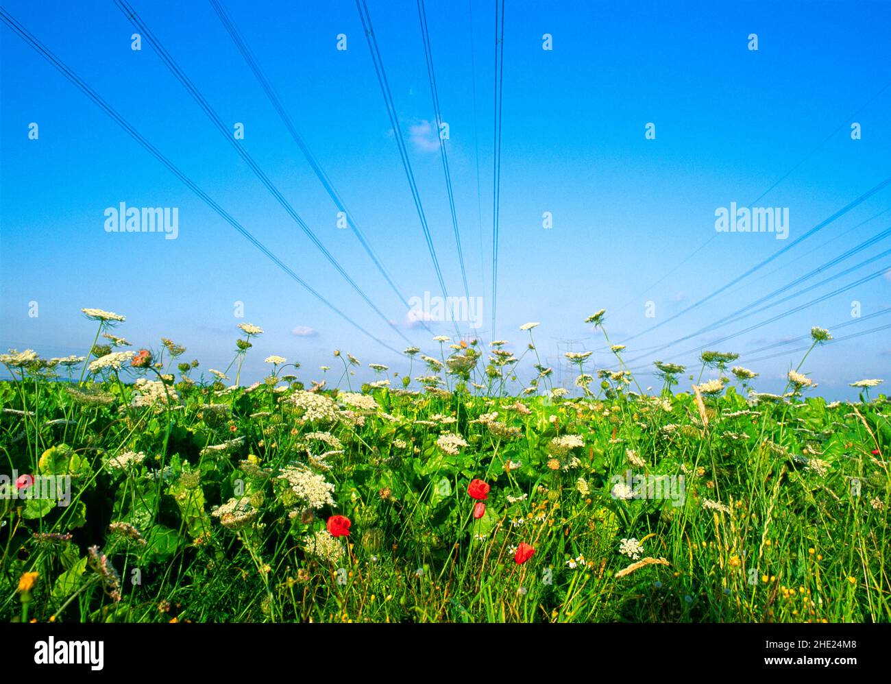 Overhead cables hi-res stock photography and images - Alamy