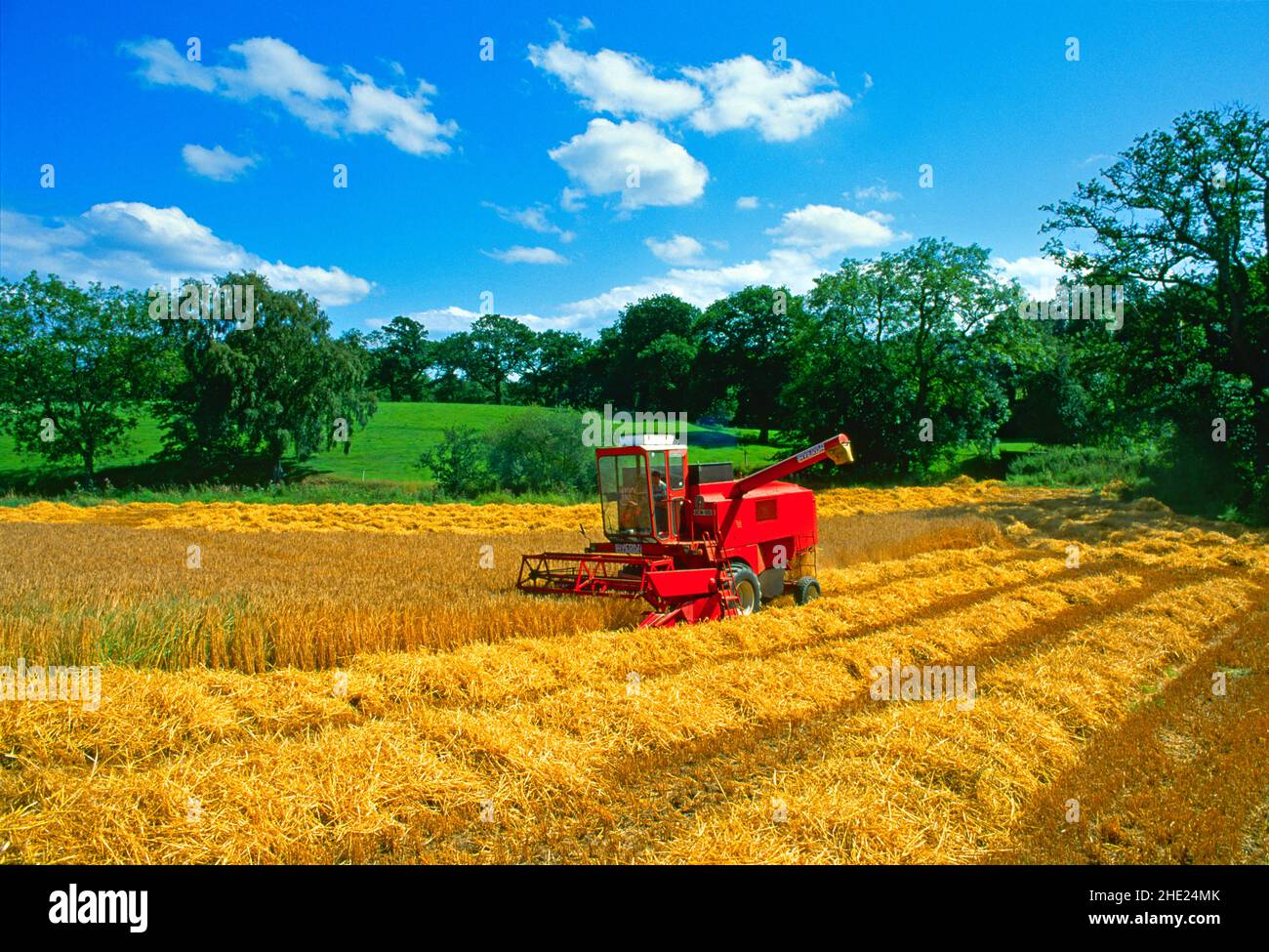 UK, combine harvester, red Stock Photo - Alamy